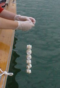 DGT Products - Passive Samplers